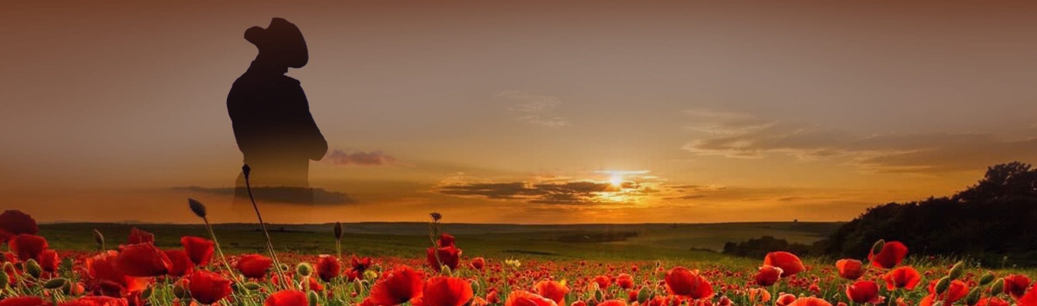 Anzac Day Tour-9 Days Trip Notes - Travel Talk Tours