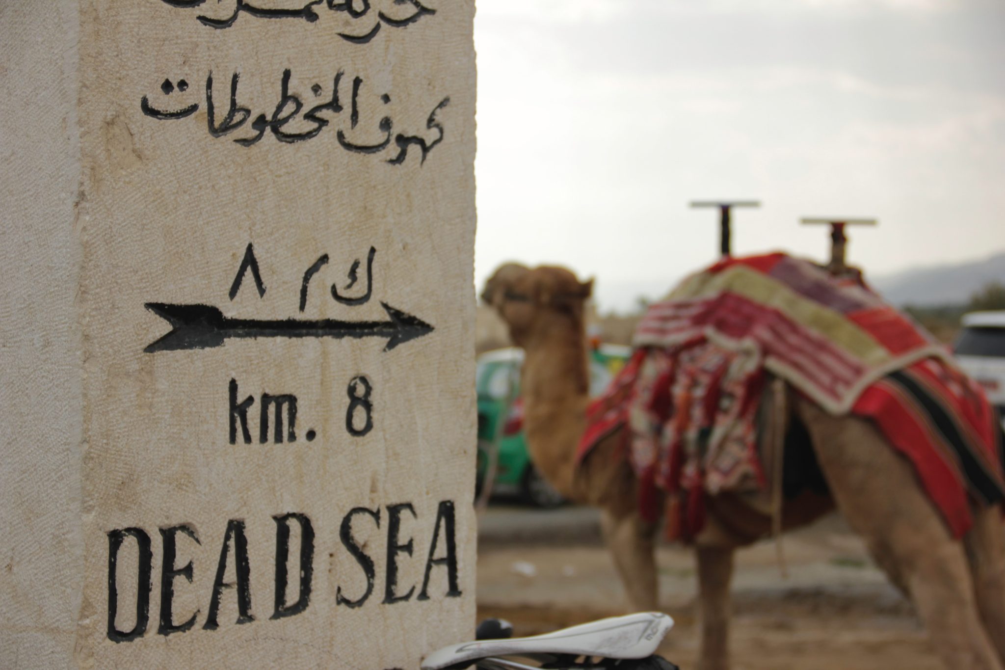 Dead Sea - Travel Talk Tours