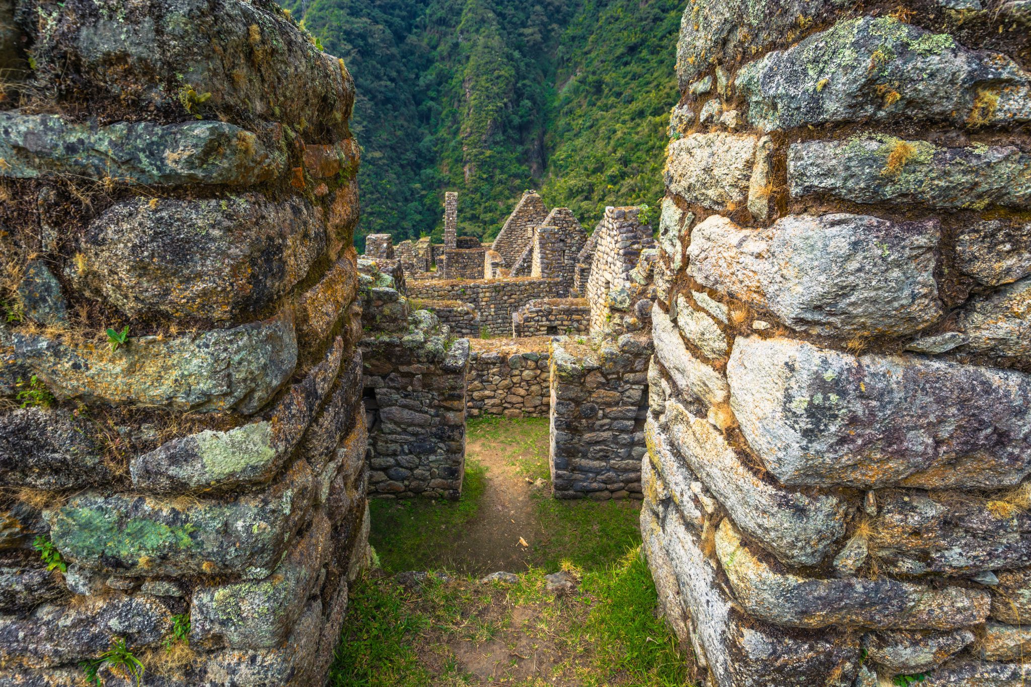 Winay Wayna - Travel Talk Tours