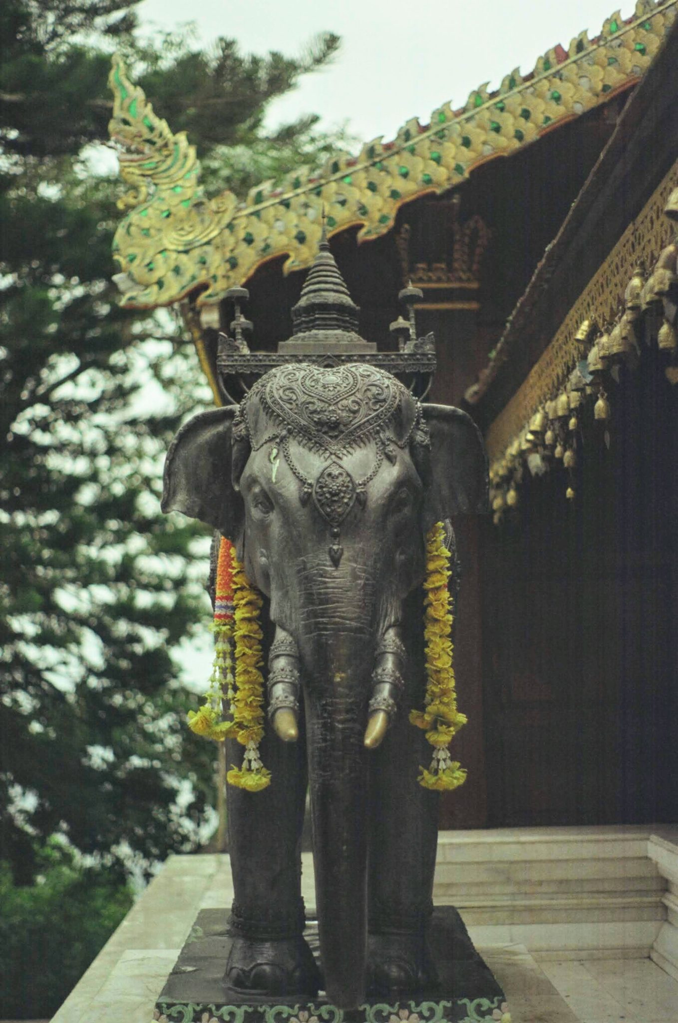 Wat Doi Suthep - Travel Talk Tours