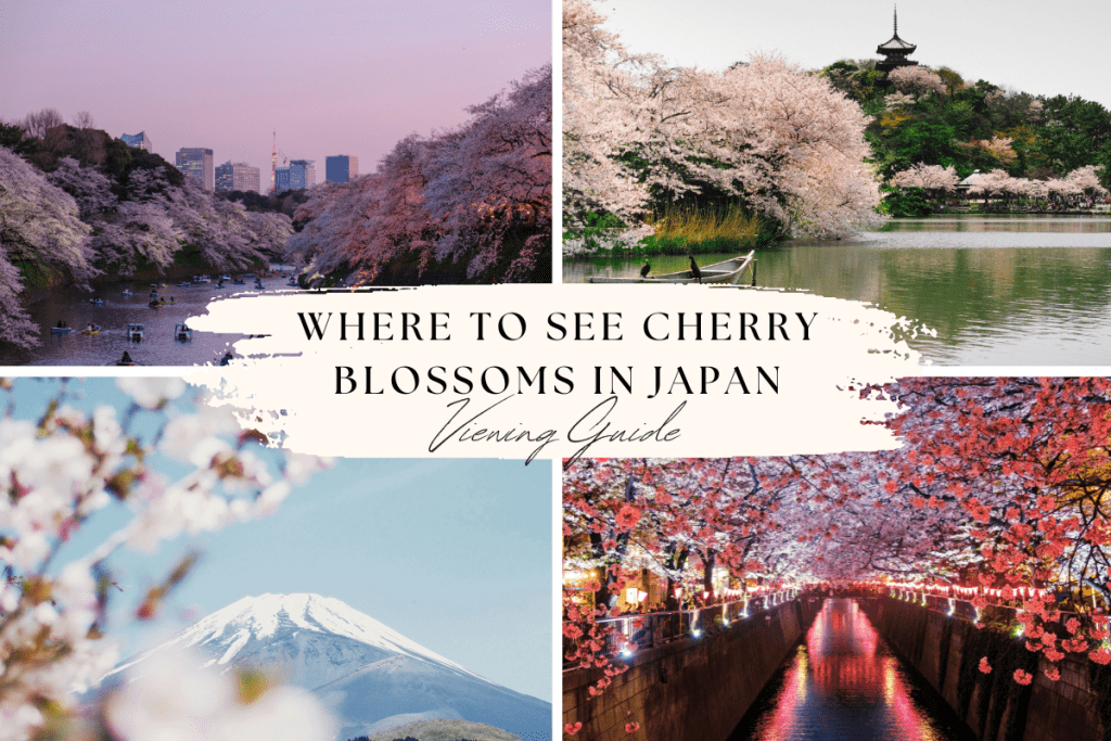 Where to See Cherry Blossoms in Japan - Viewing Guide